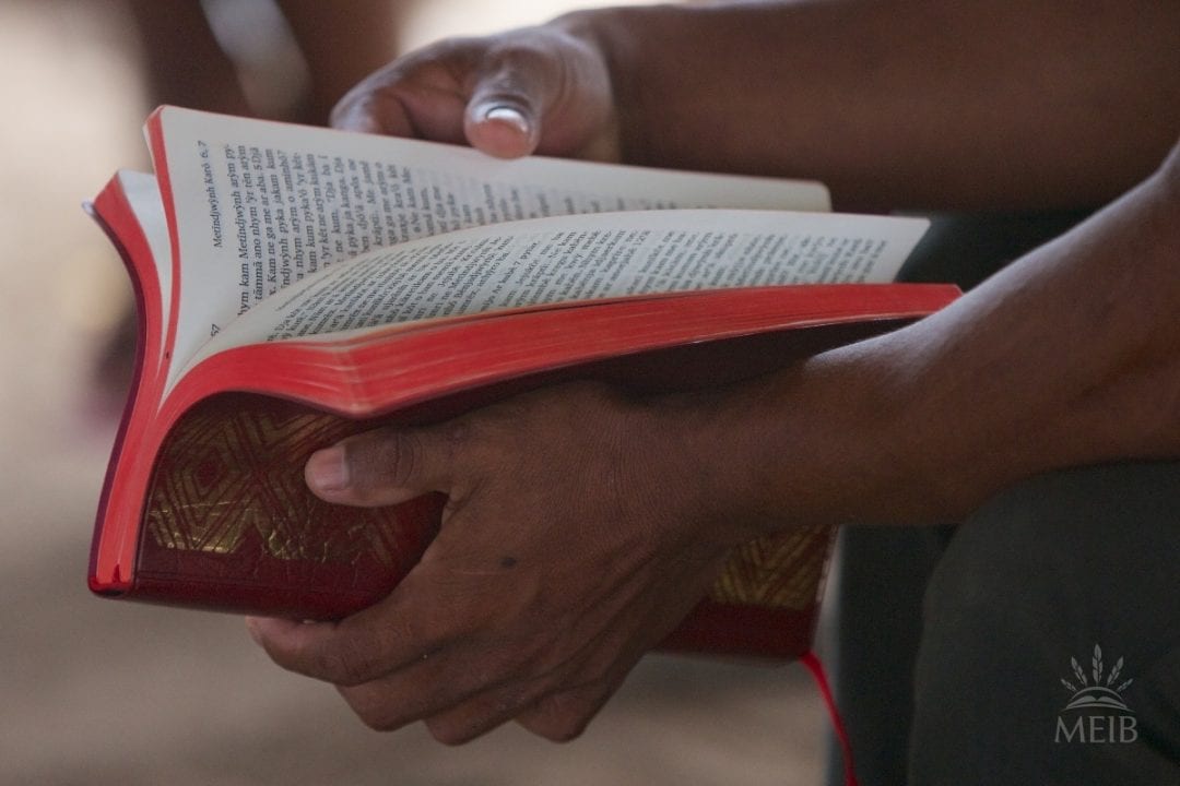 Nossa História | MEIB